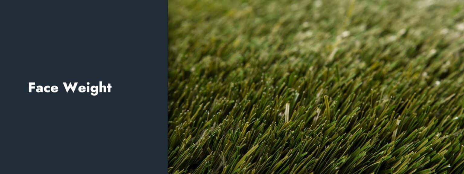 Artificial Turf 101: Comprehensive Guide to Synthetic Grass