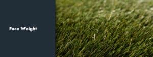 Artificial Turf 101: Comprehensive Guide to Synthetic Grass