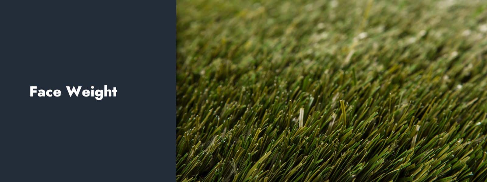 Artificial Turf 101: Comprehensive Guide to Synthetic Grass
