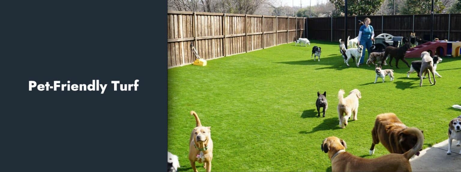 Artificial Turf 101: Comprehensive Guide to Synthetic Grass