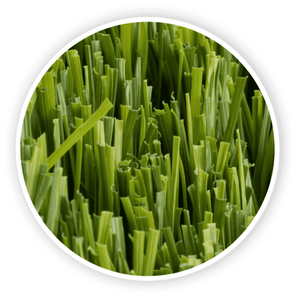 Fiber Shapes on Artificial Turf Products // TURF NETWORK