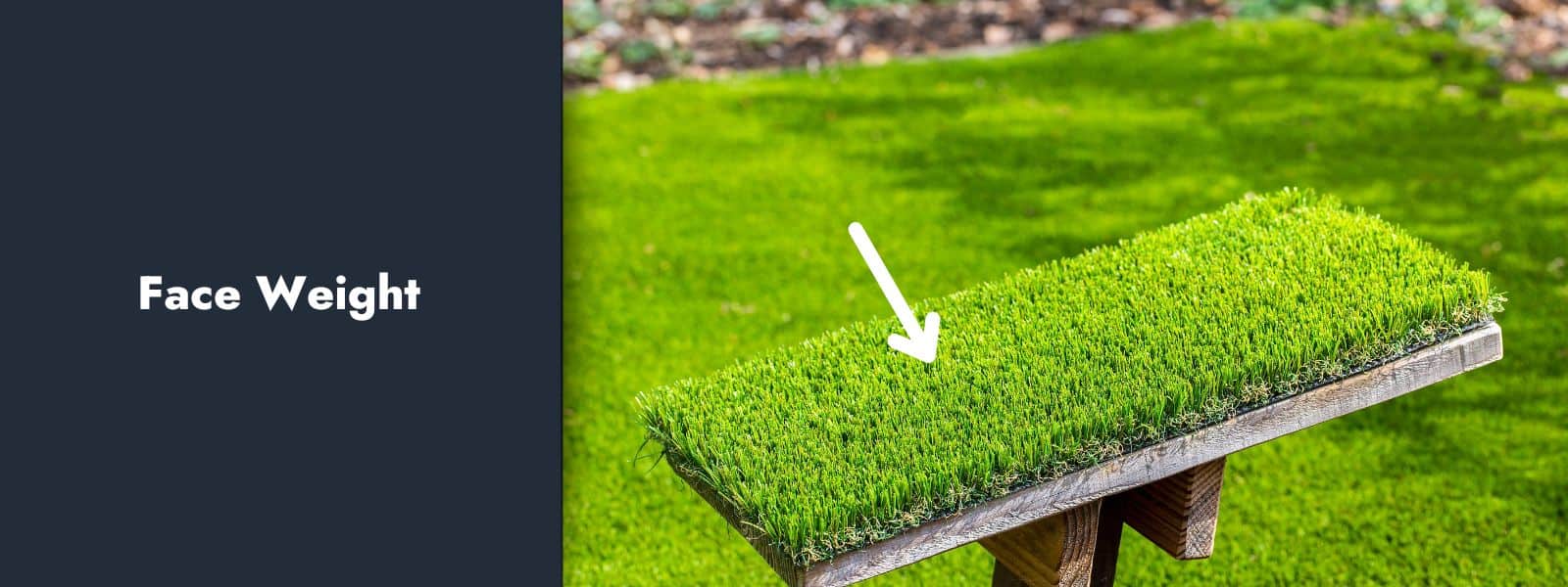 Fake Grass for Dogs: The Most Complete Guide To Pet Turf