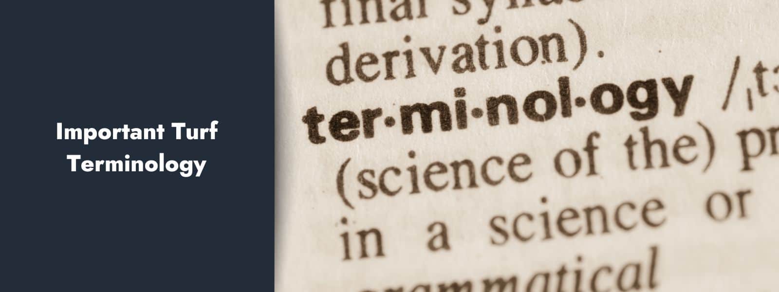 Best Artificial Grass for Dogs: THE #1 Pet Turf Buying Guide