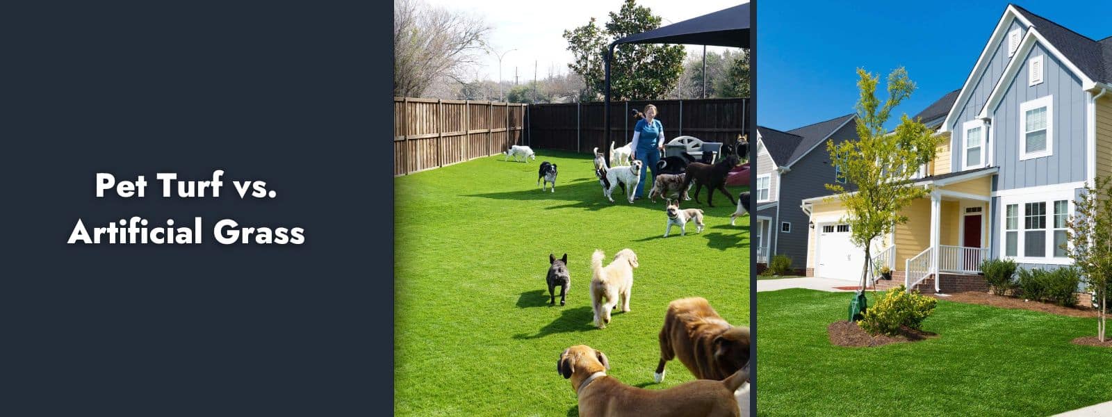 Fake Grass for Dogs: The Most Complete Guide To Pet Turf