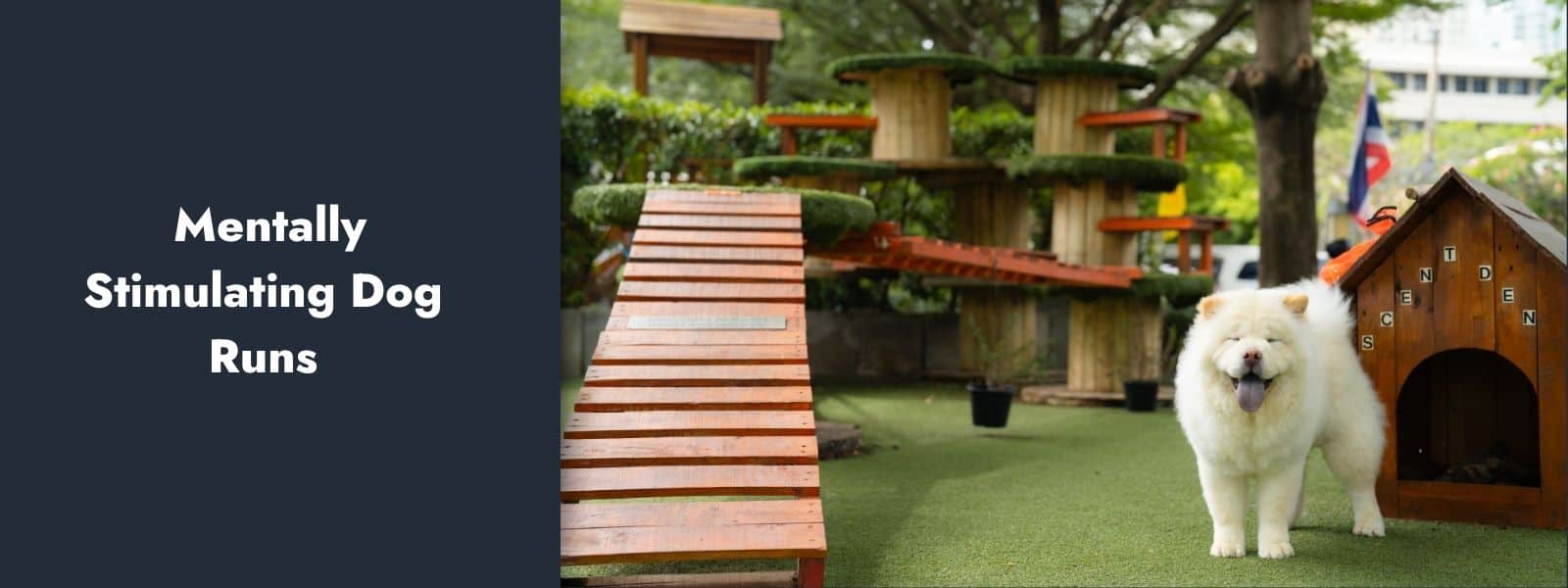 Dog Run Ideas: How To Build A Backyard Dog Kennel