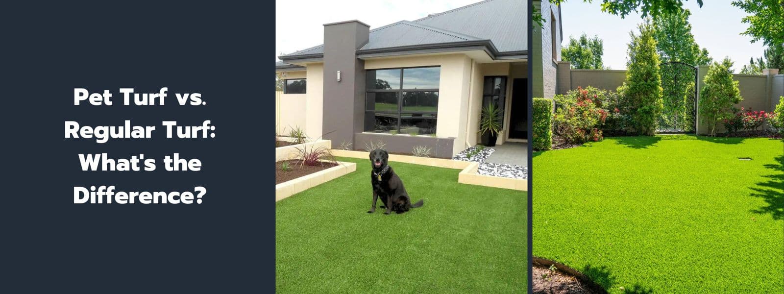Best Artificial Grass for Dogs: THE #1 Pet Turf Buying Guide