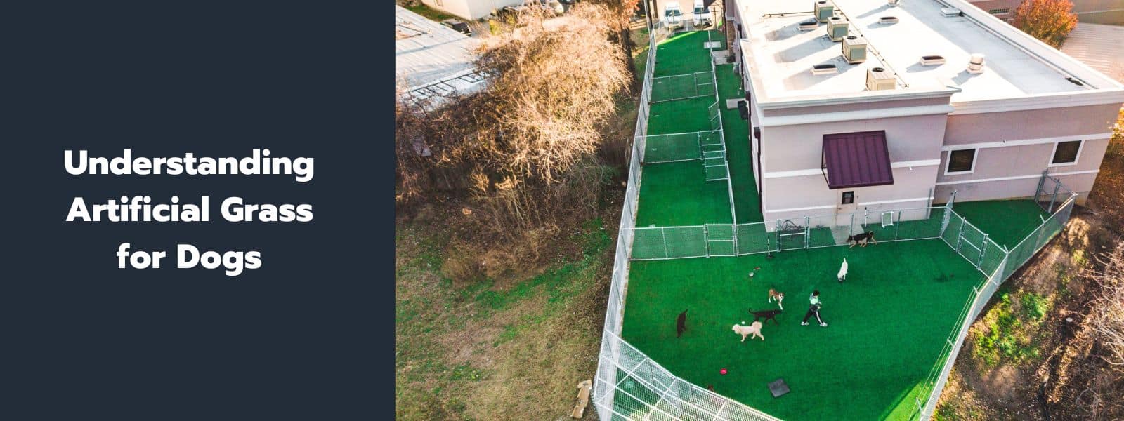 Best Artificial Grass for Dogs: THE #1 Pet Turf Buying Guide