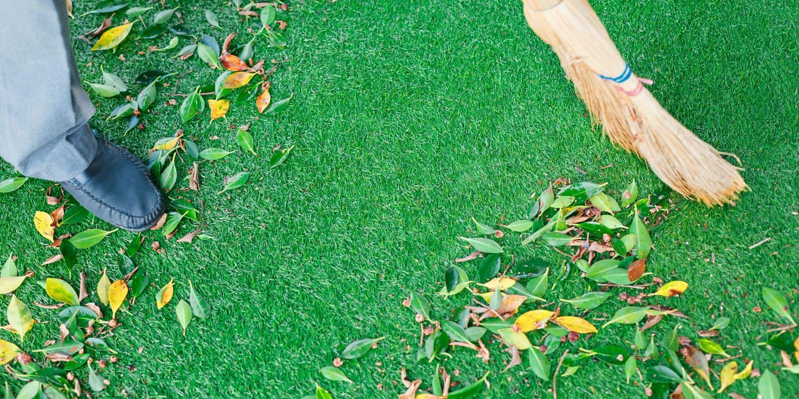 Artificial Turf Pros & Cons: Why Install Synthetic Grass?